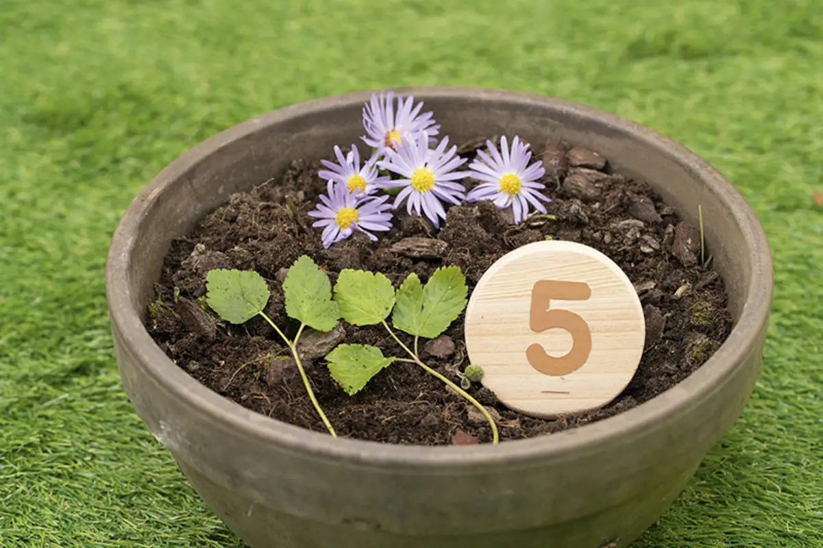 Jetons bois - Les nombres - Équipement - 3133099147978 | Editions Nathan